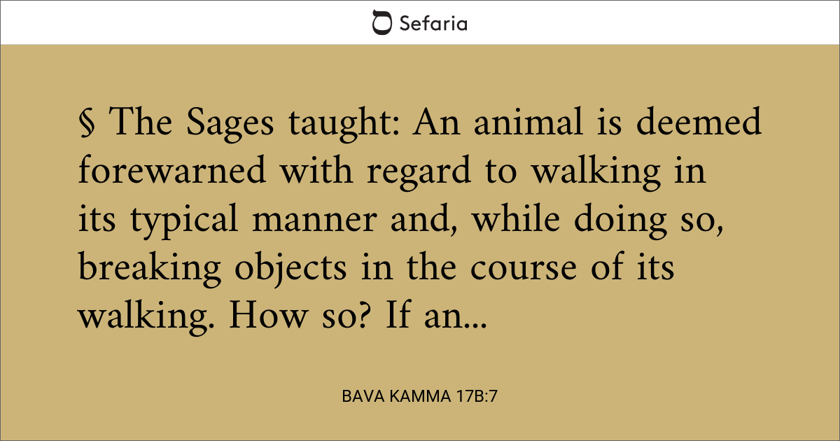 Bava Kamma 17b:7