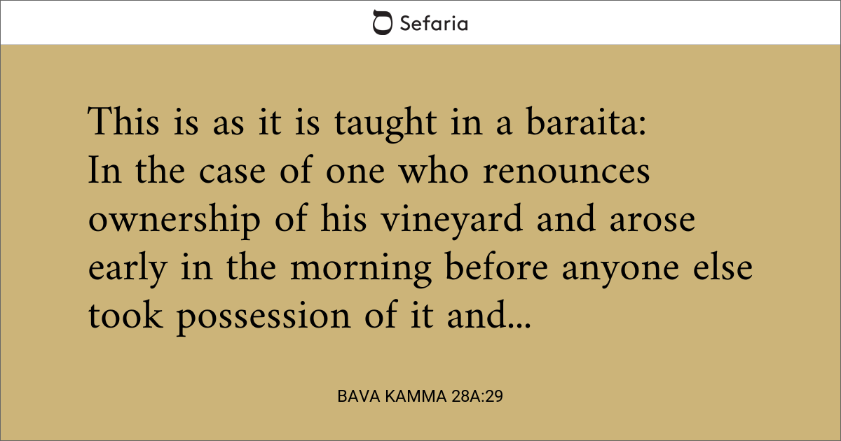 Bava Kamma 28a:29
