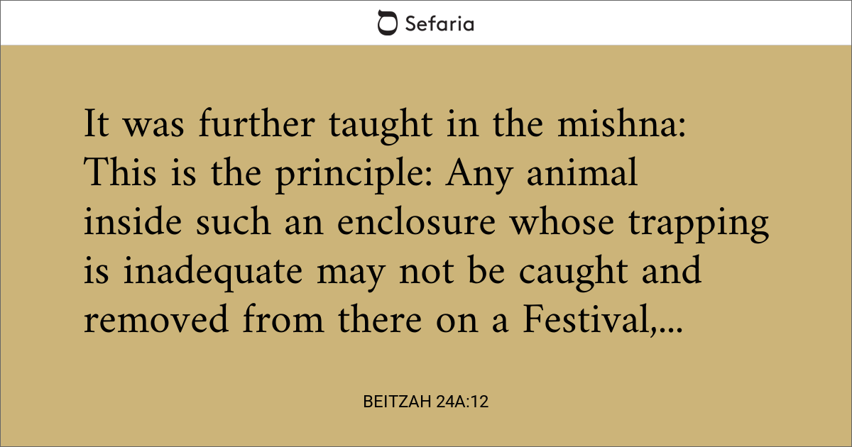 Beitzah 24a:12