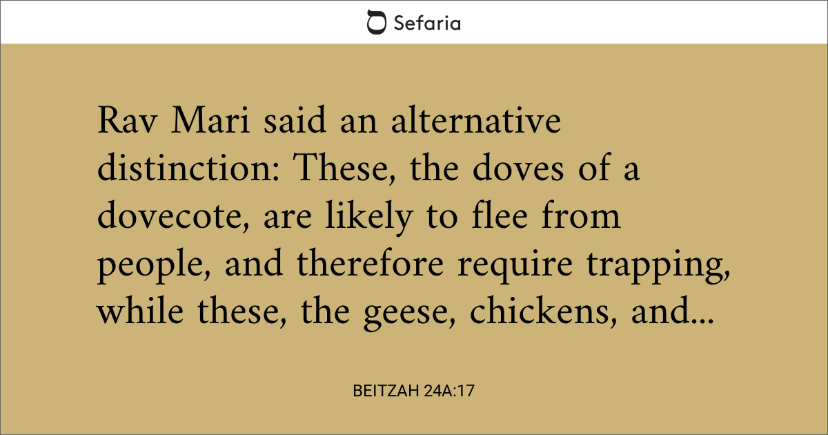 Beitzah 24a:17