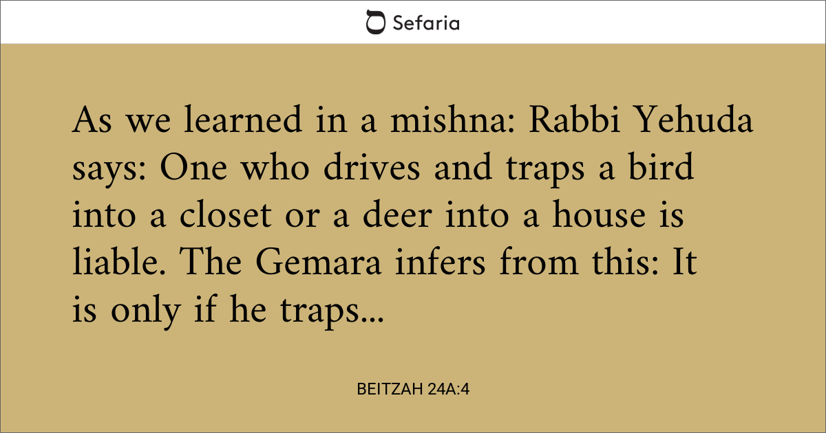 Beitzah 24a:4