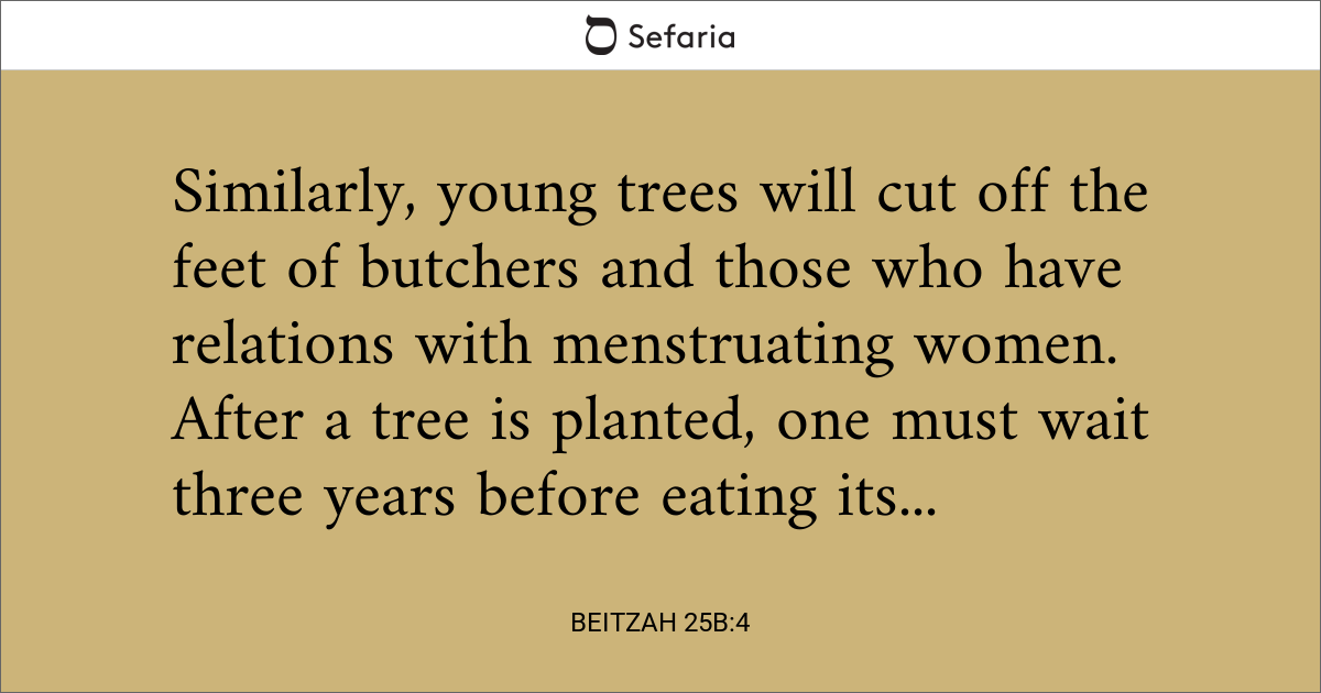 Beitzah 25b:4