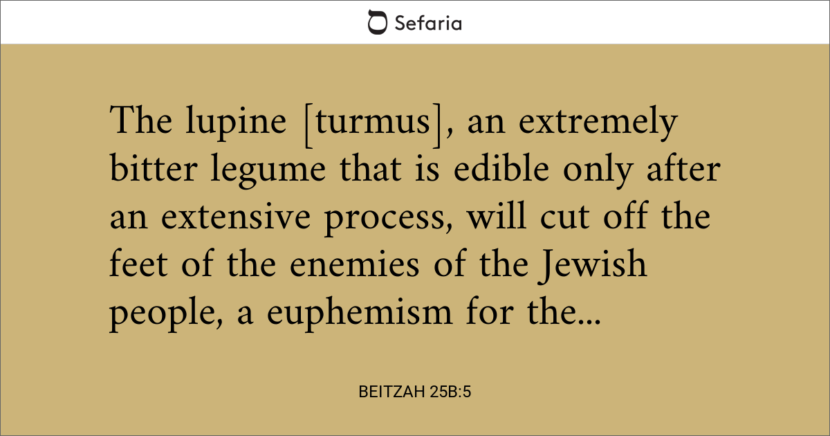 Beitzah 25b:5