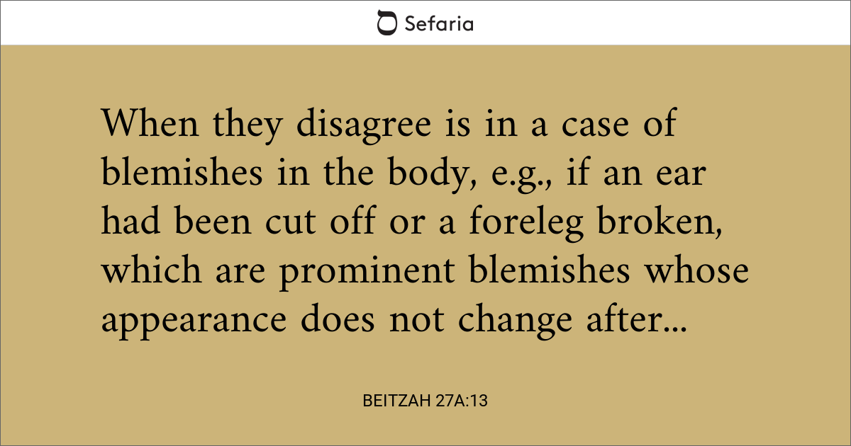 Beitzah 27a:13