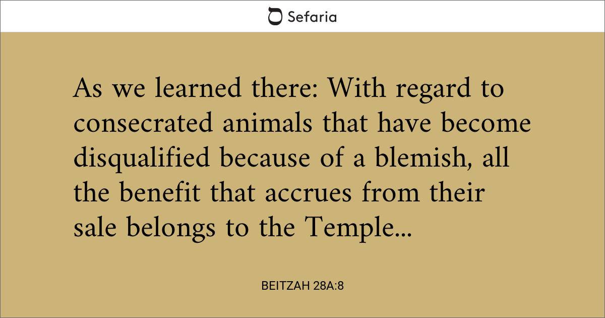Beitzah 28a:8