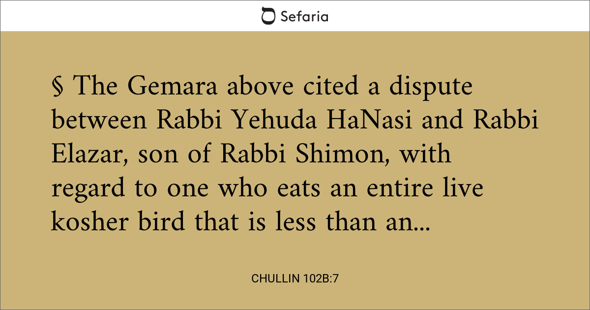 Chullin 102b:7