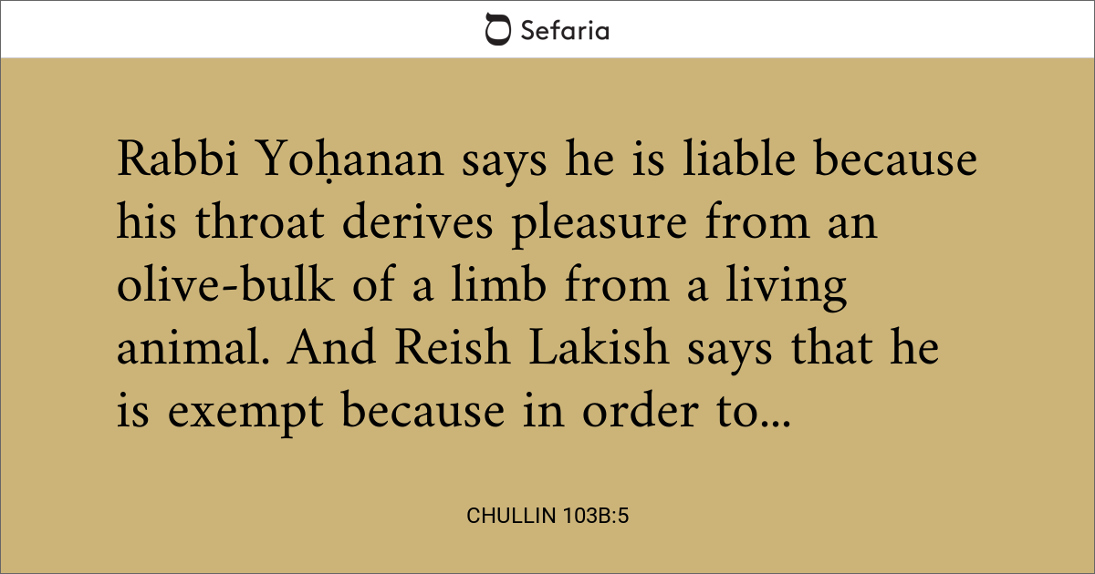 Chullin 103b:5