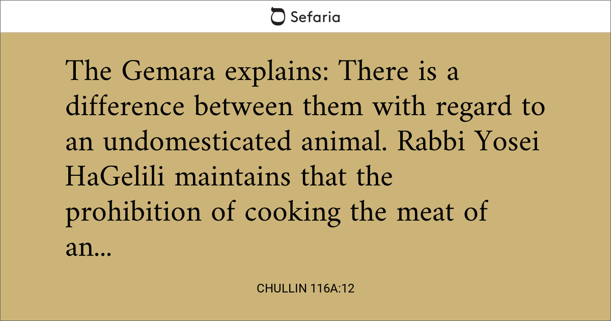 Chullin 116a:12