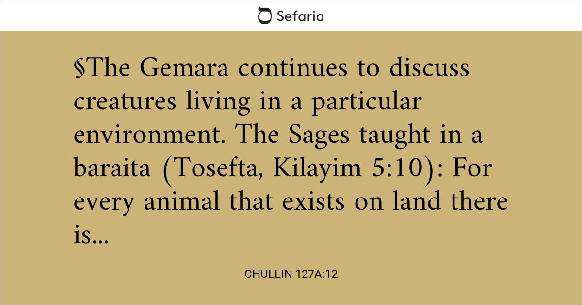 Chullin 127a:12
