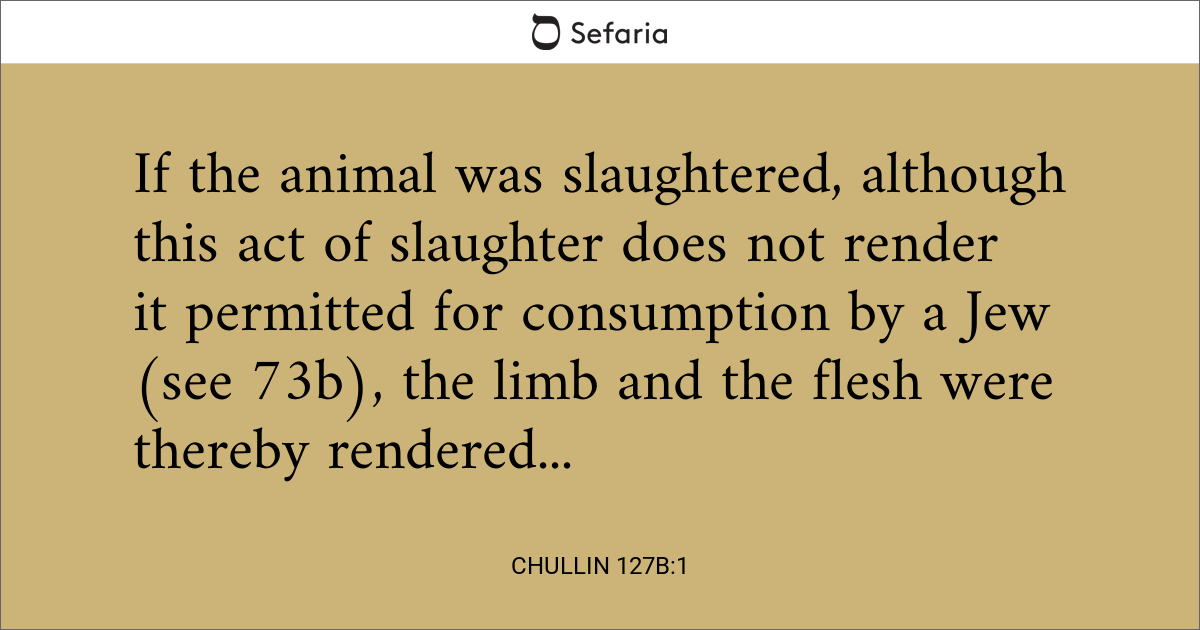 Chullin 127b:1
