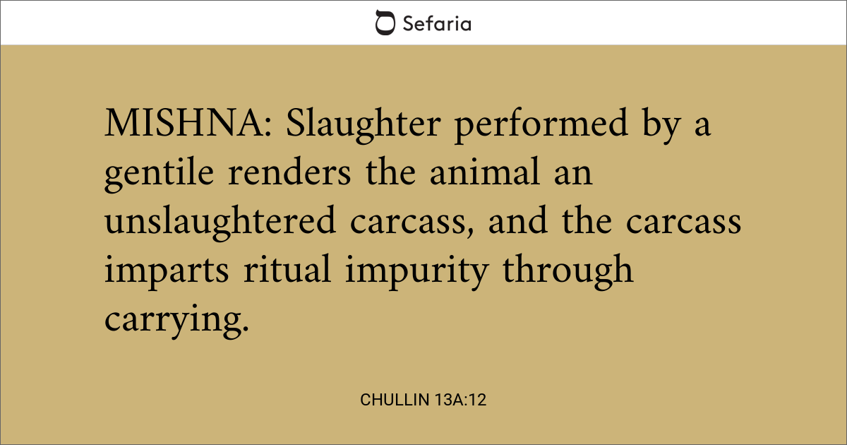 Chullin 13a:12