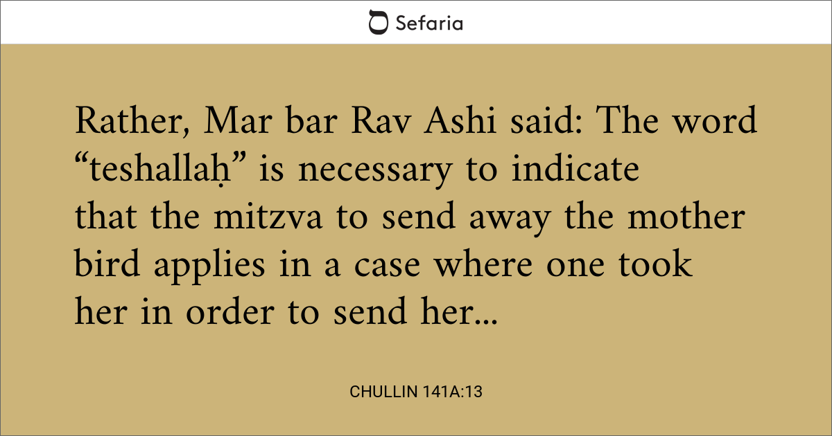 Chullin 141a:13