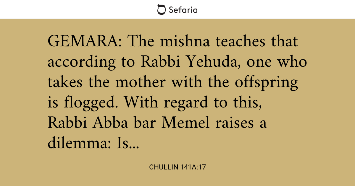 Chullin 141a:17