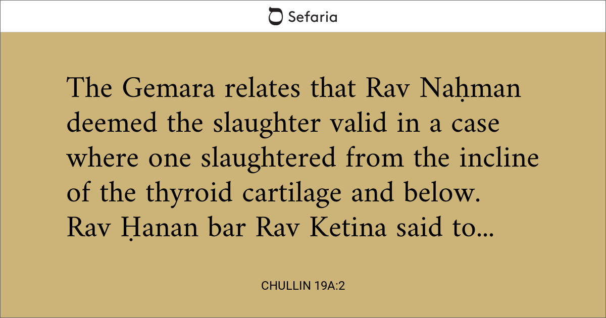 Chullin 19a:2