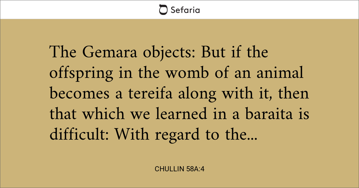 Chullin 58a:4