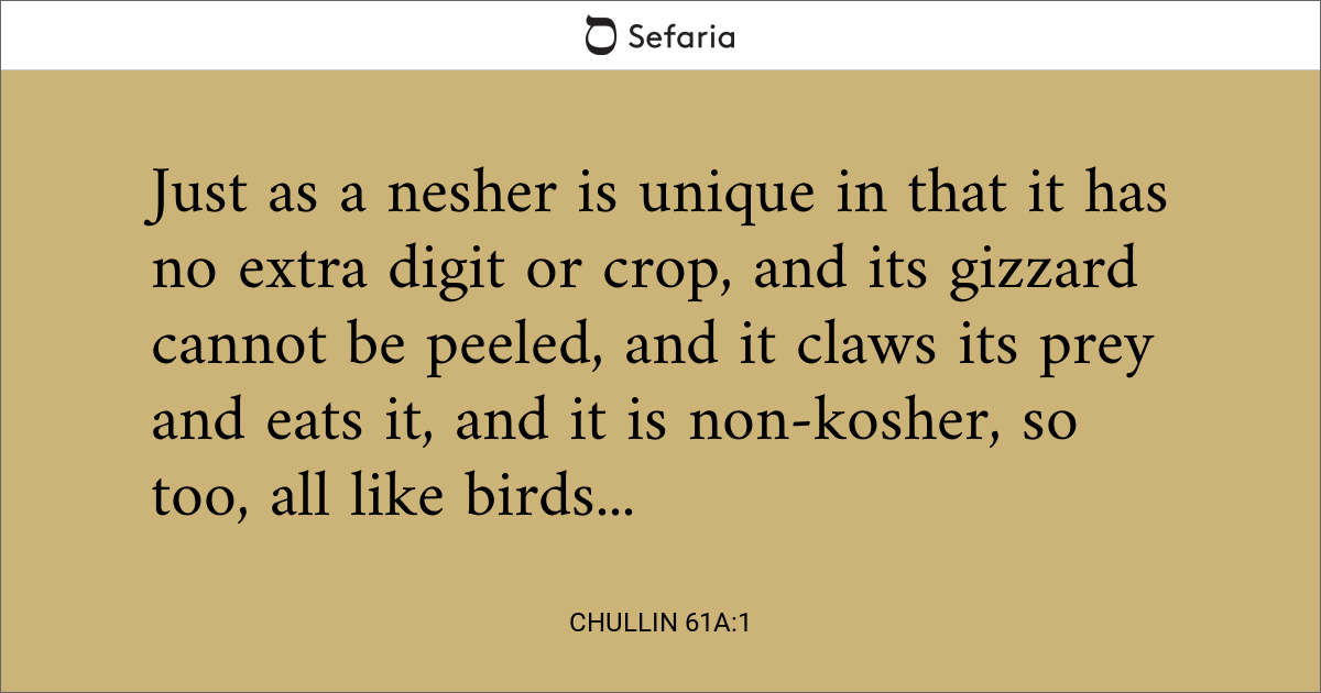 Chullin 61a:1
