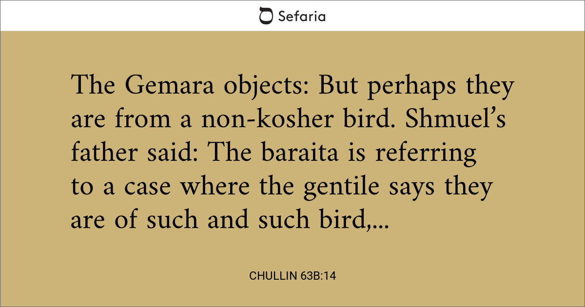 Chullin 63b:14
