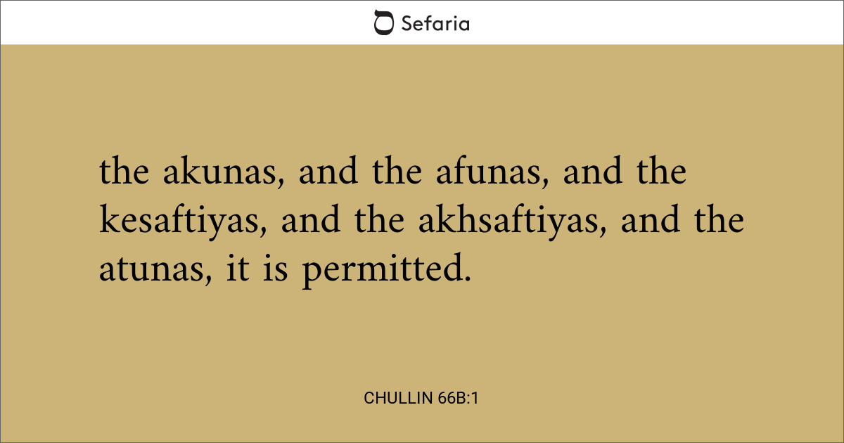 Chullin 66b:1