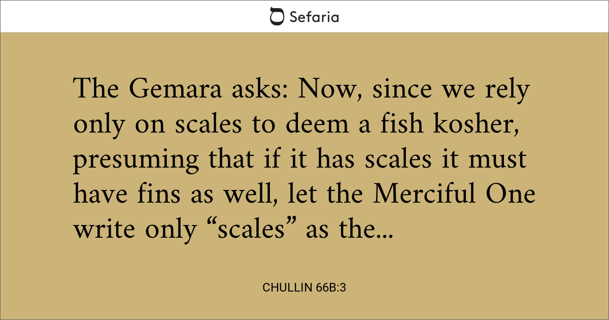 Chullin 66b:3