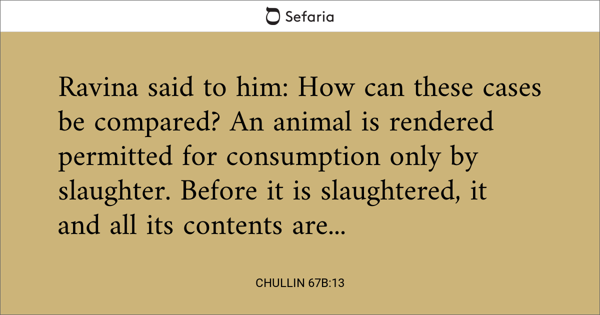 Chullin 67b:13
