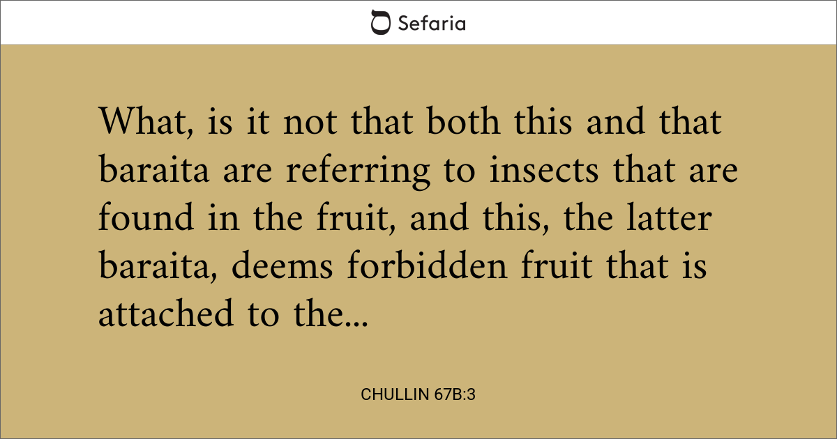 Chullin 67b:3
