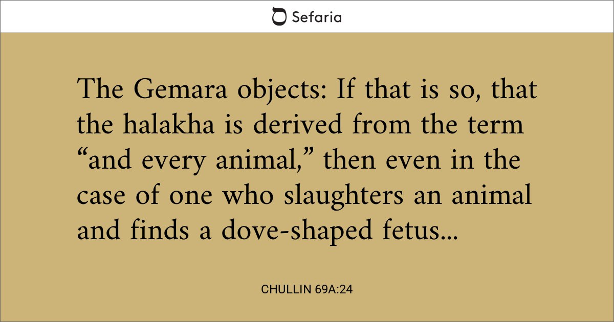 Chullin 69a:24