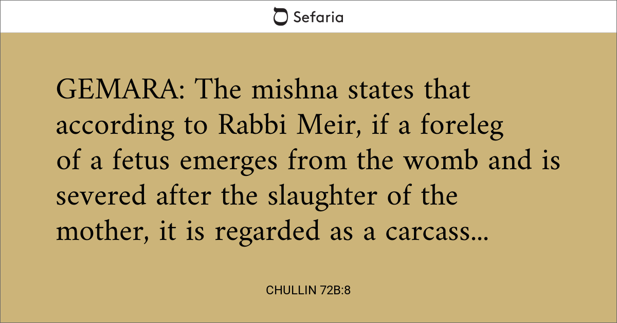 Chullin 72b:8