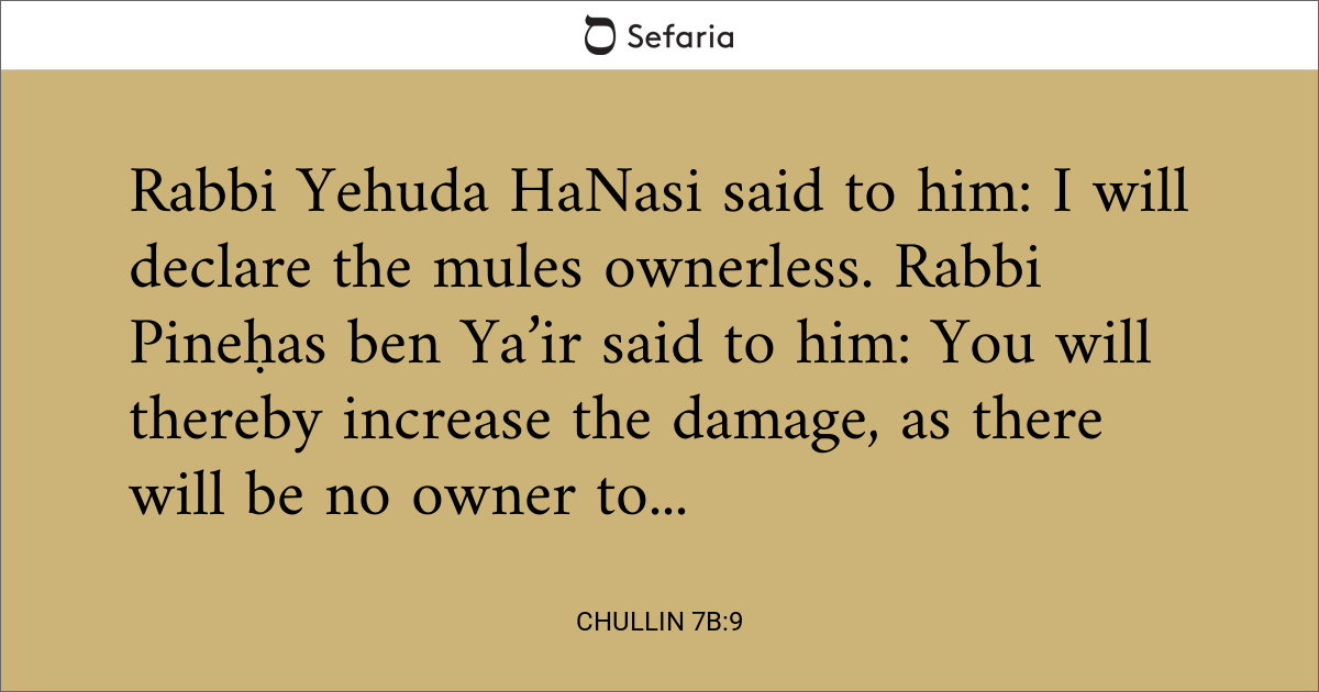 Chullin 7b:9