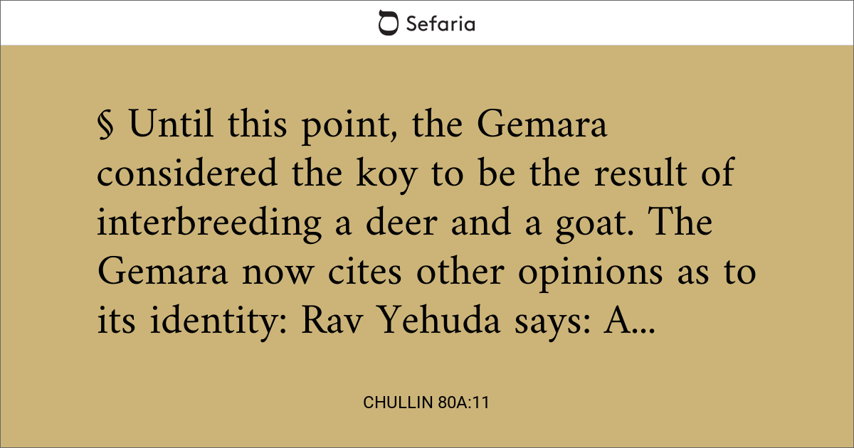 Chullin 80a:11