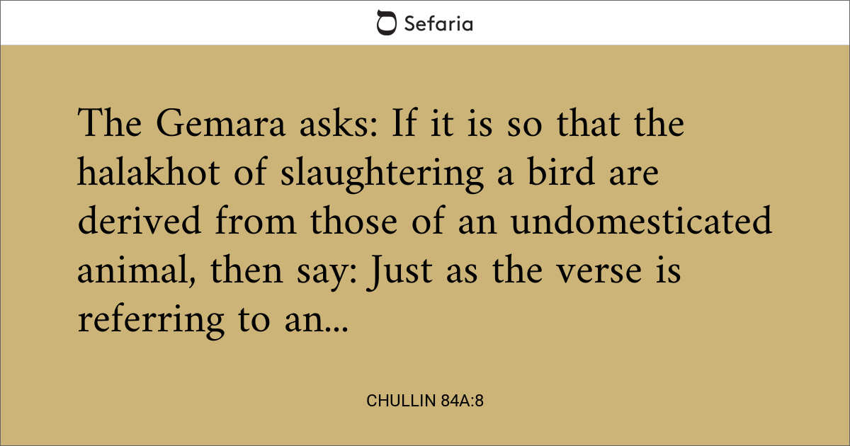 Chullin 84a:8