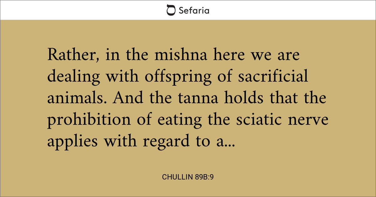 Chullin 89b:9