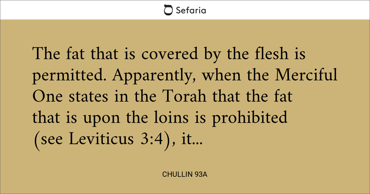 Chullin 93a