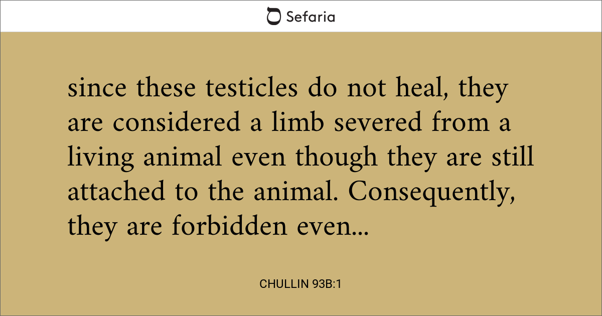 Chullin 93b:1