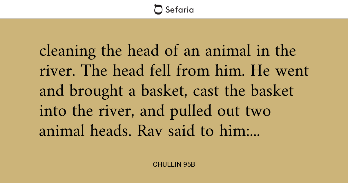 Chullin 95b