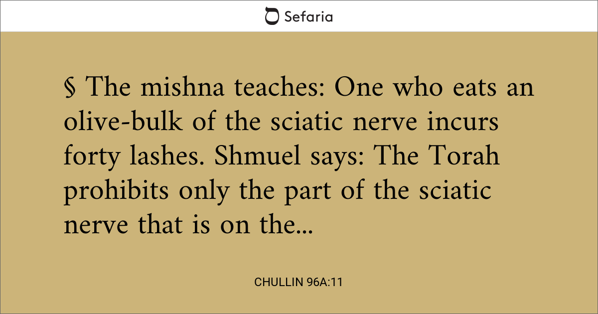 Chullin 96a:11