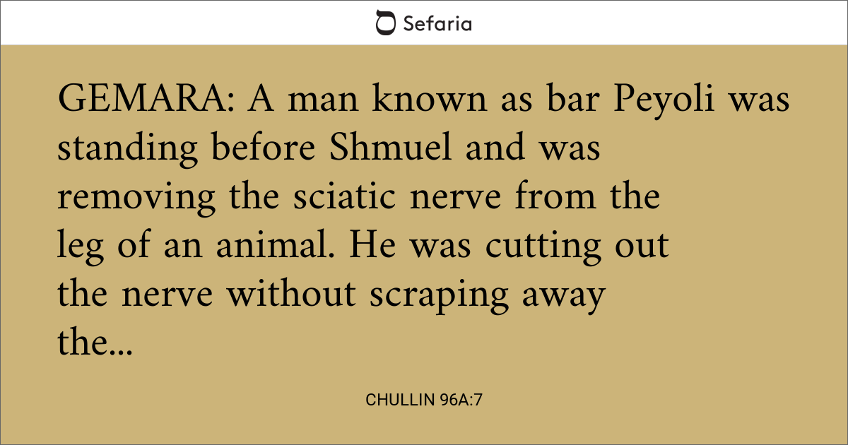 Chullin 96a:7