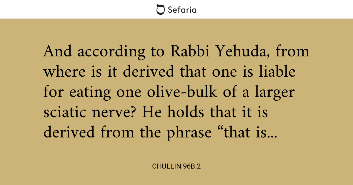 Chullin 96b:2