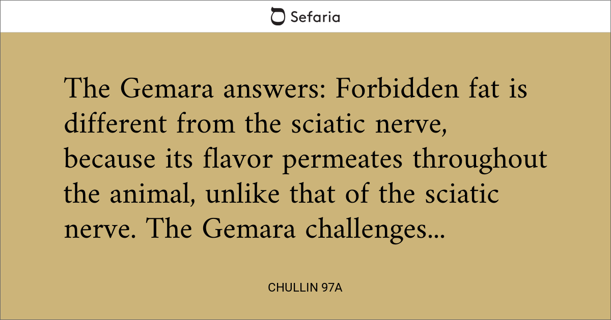 Chullin 97a