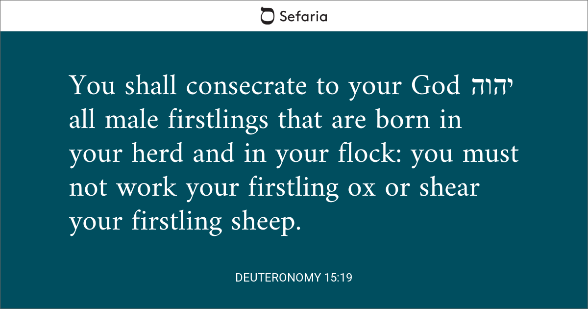 Deuteronomy 15:19
