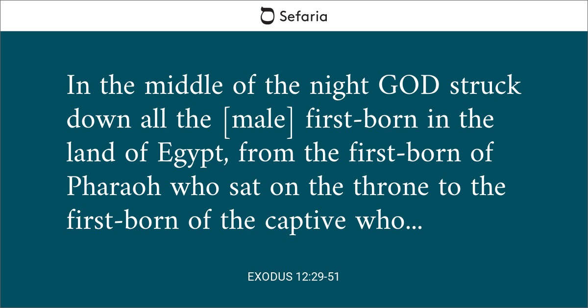 Exodus 12:29-51