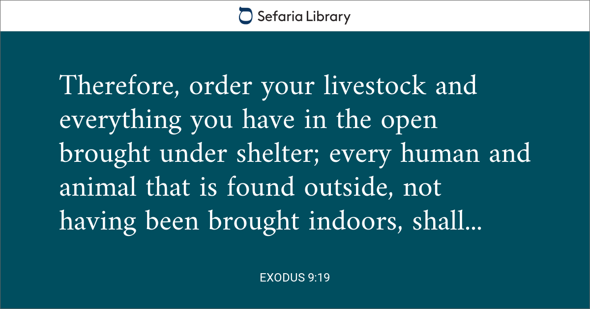 Exodus 9:19