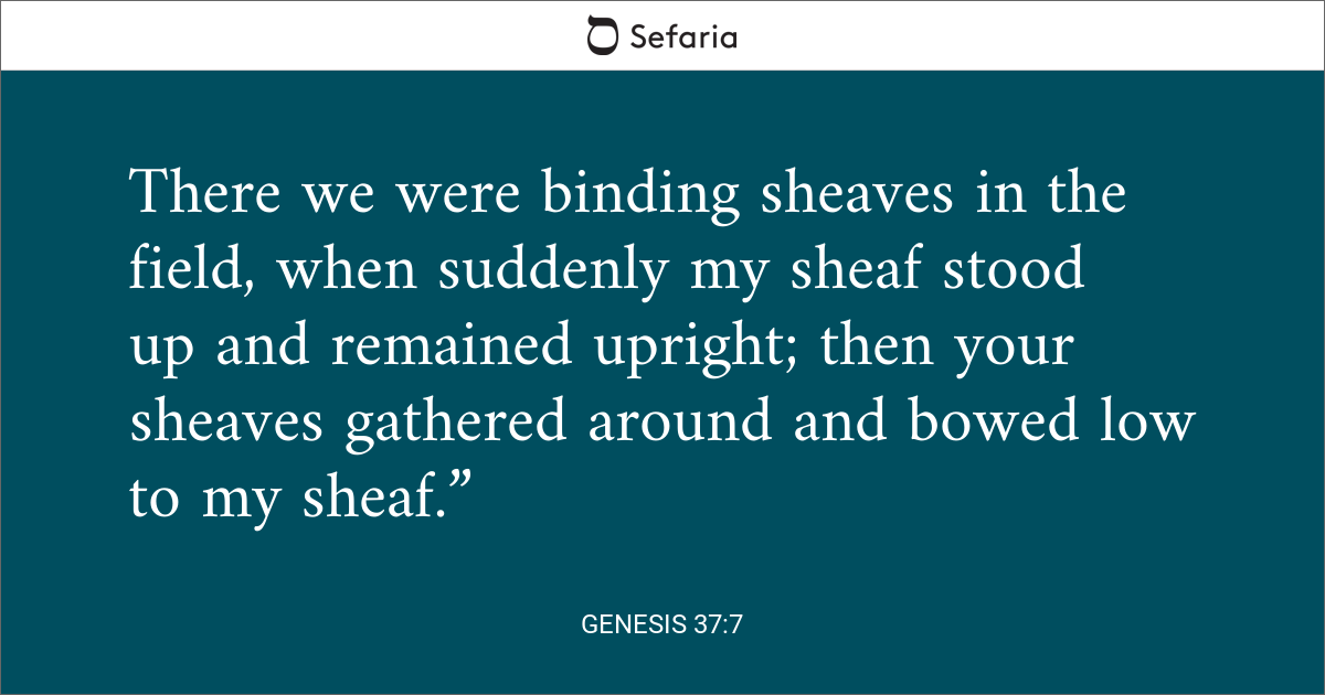 Genesis 37:7