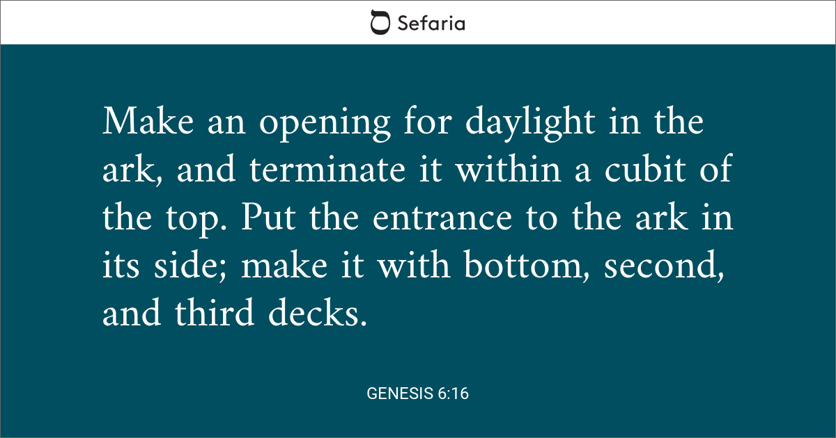 Genesis 6:16