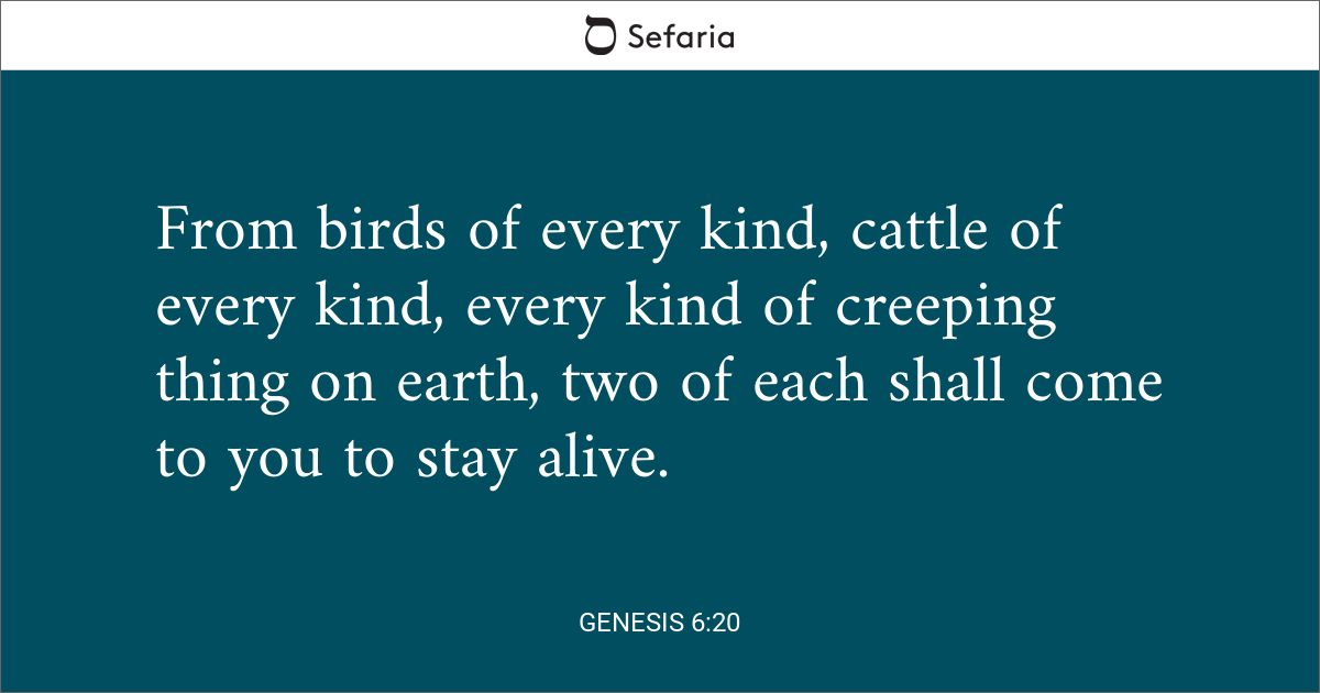 Genesis 6:20