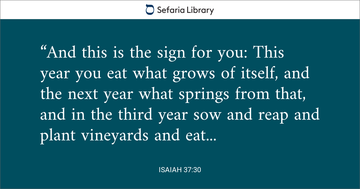 isaiah-37-30
