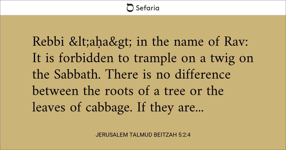 Jerusalem Talmud Beitzah 5:2:4