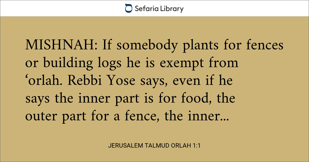 Jerusalem Talmud Orlah 1:1 | Sefaria Library