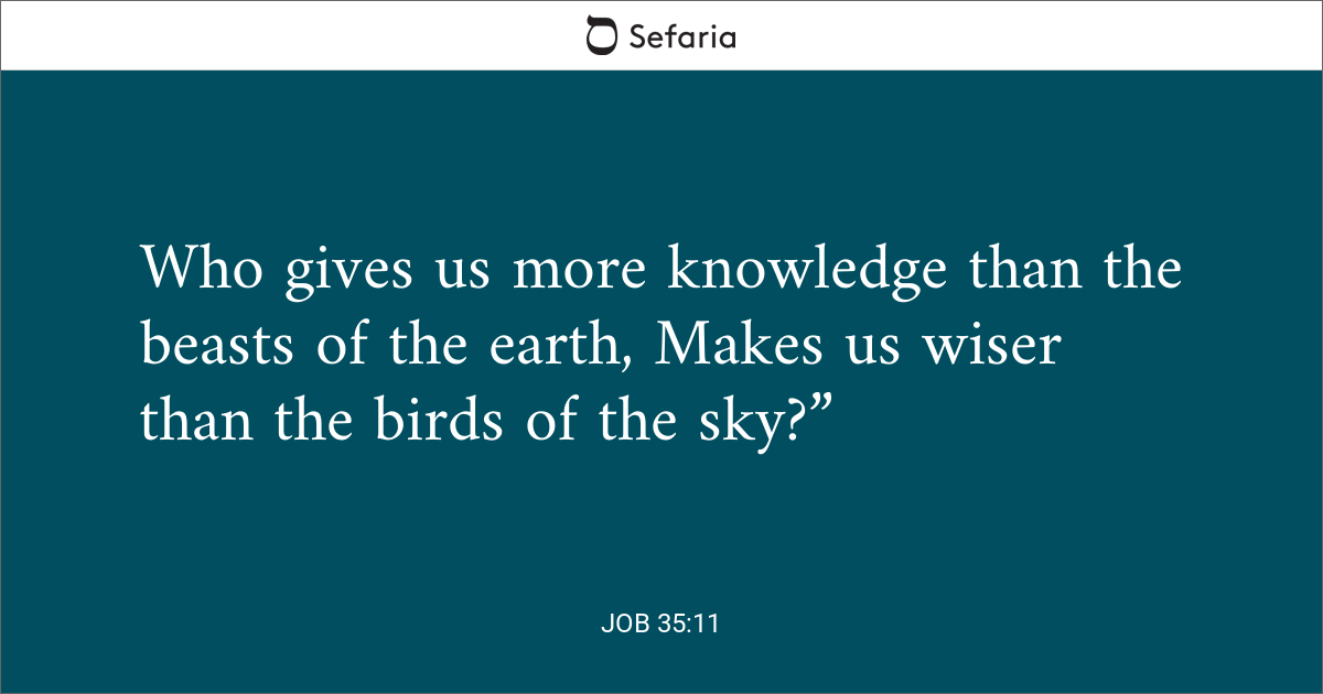 Job 35:11