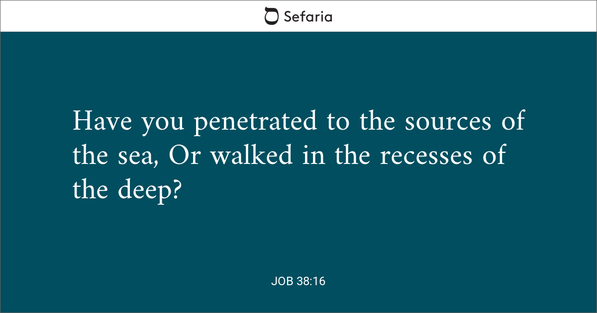 Job 38:16