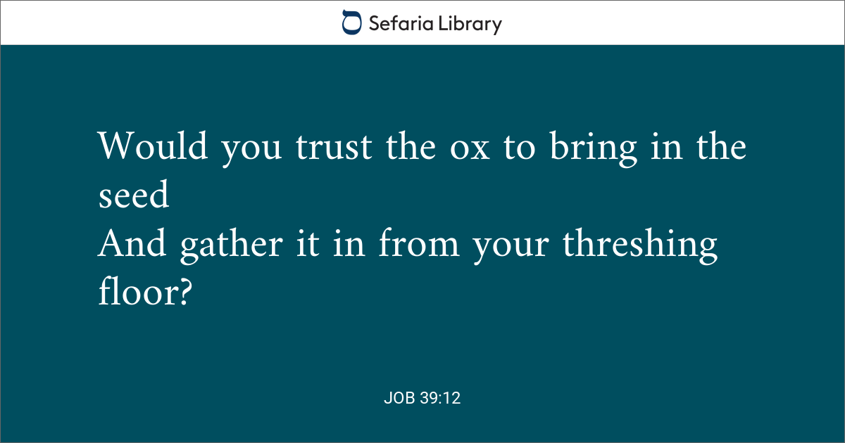 Job 39:12 | Sefaria Library
